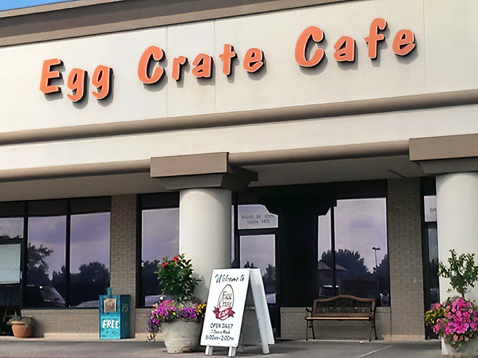 Morning sunshine illuminates the welcoming entrance, where colorful flower pots stand guard like cheerful sentinels protecting the breakfast treasures within.
