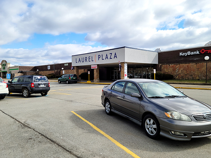 The unassuming exterior of Laurel Plaza hides a treasure trove within&mdash;like finding a gourmet meal at a gas station, the best surprises come in modest packages.