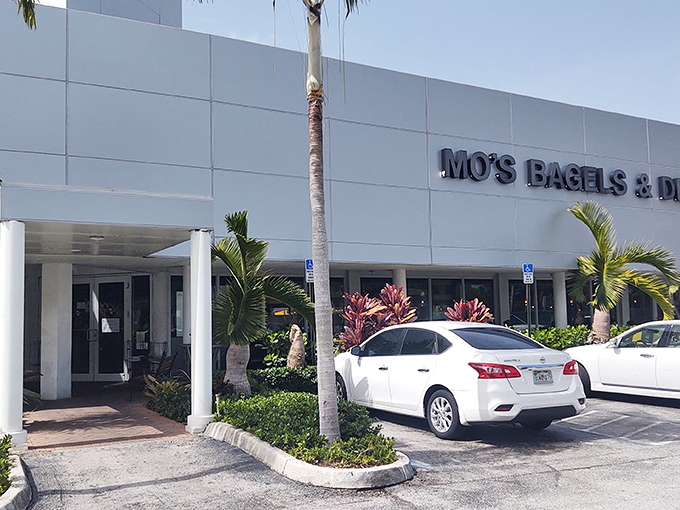 Palm trees and pastrami &ndash; only in Florida can you find authentic Jewish deli fare nestled between tropical landscaping and luxury cars.