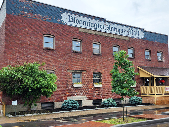 The brick fortress of nostalgia stands proudly in downtown Bloomington, its yellow porch beckoning treasure hunters from miles around.