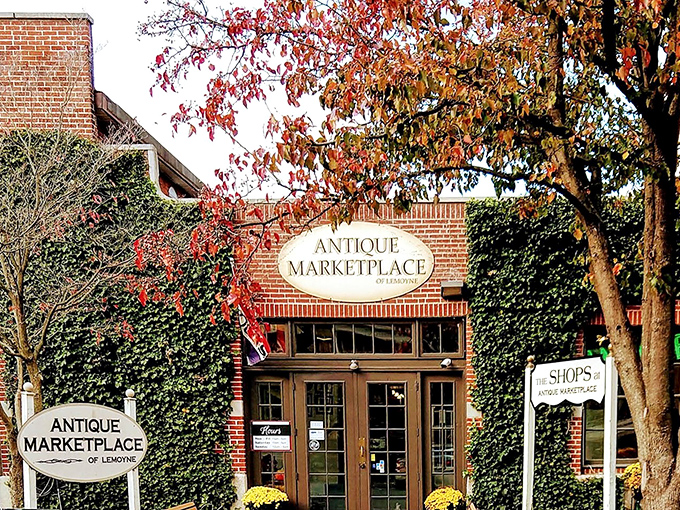 Fall foliage frames this treasure trove's entrance, where autumn's colors complement the vintage wares waiting inside.