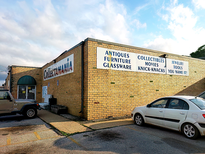 The unassuming yellow brick exterior of Collectamania belies the wonderland of treasures waiting inside. Like a TARDIS of trinkets!