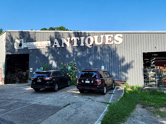 The unassuming exterior of Antique Tobacco Barn belies the wonderland within. Like finding Narnia in a metal warehouse, this Asheville treasure trove awaits.