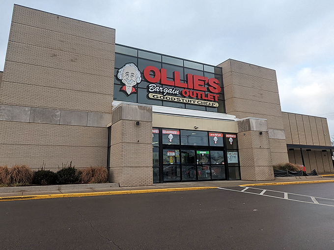 Another angle of retail paradise, where the bright red signage serves as a beacon to bargain hunters across Michigan's capital city.