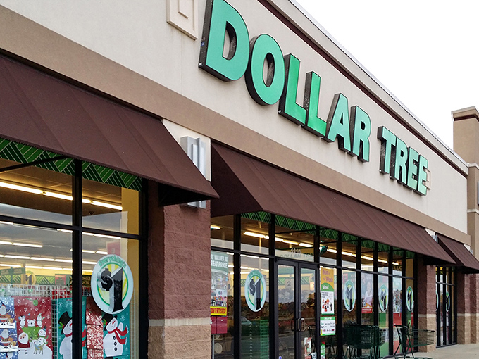 The emerald sign of savings shines bright&mdash;Dollar Tree, where every aisle promises a small victory for your wallet.