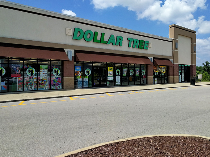 The emerald beacon of bargains beckons from Industrial Boulevard, promising treasure hunts that won't break the bank.