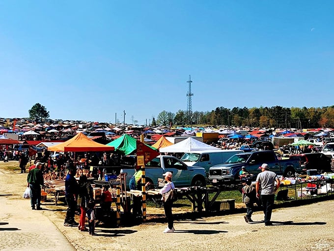 A sea of colorful tents stretches to the horizon at Mountain Top Flea Market, where treasure hunters navigate a maze of possibilities every Sunday morning.