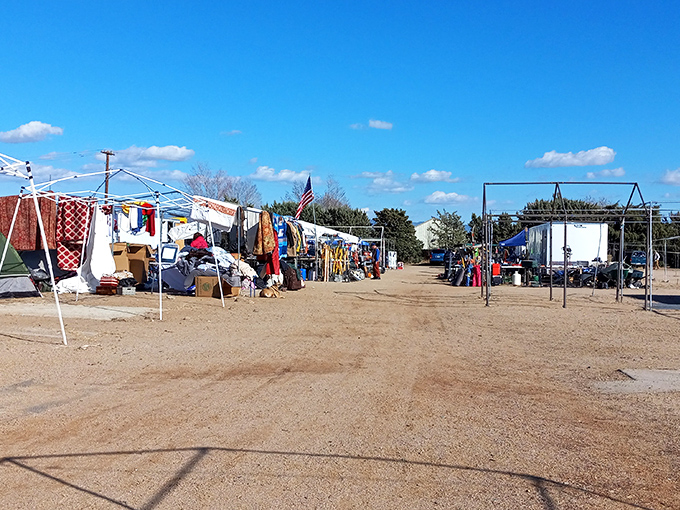 The dusty pathways of Peddlers Pass stretch like treasure maps under the Arizona sky, each canopy a potential X-marks-the-spot for bargain hunters.