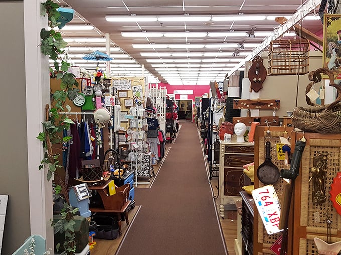 Long aisles of treasures stretch before you like a time-traveling expedition. Every booth offers a new decade to explore.