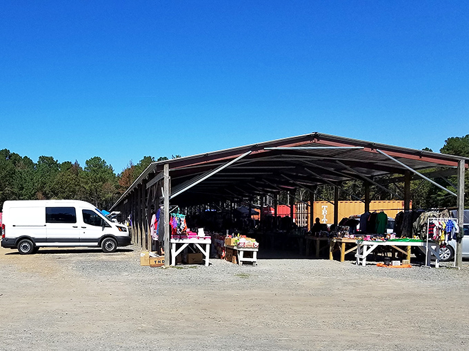The covered pavilion at Pratt Road Flea Market offers shade for both serious collectors and casual browsers on their quest for hidden gems.