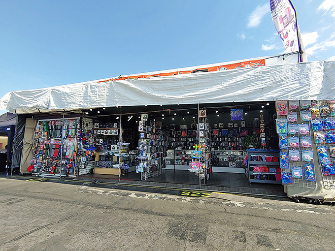 A treasure hunter's paradise awaits behind this unassuming facade. Every booth promises discoveries that'll have you texting friends: "You won't believe what I found!"