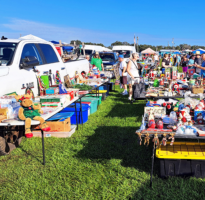 Treasure hunting in the Florida sunshine! Rows of tables laden with potential discoveries stretch into the distance at Swap-O-Rama, where one person's castoffs become another's prized possessions.