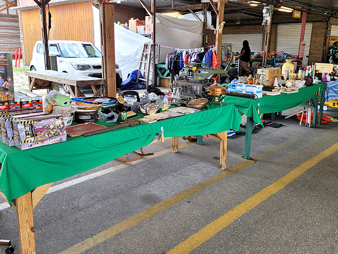 Tables laden with treasures stretch into the distance &ndash; the quintessential flea market experience where one person's castoffs become another's gold.