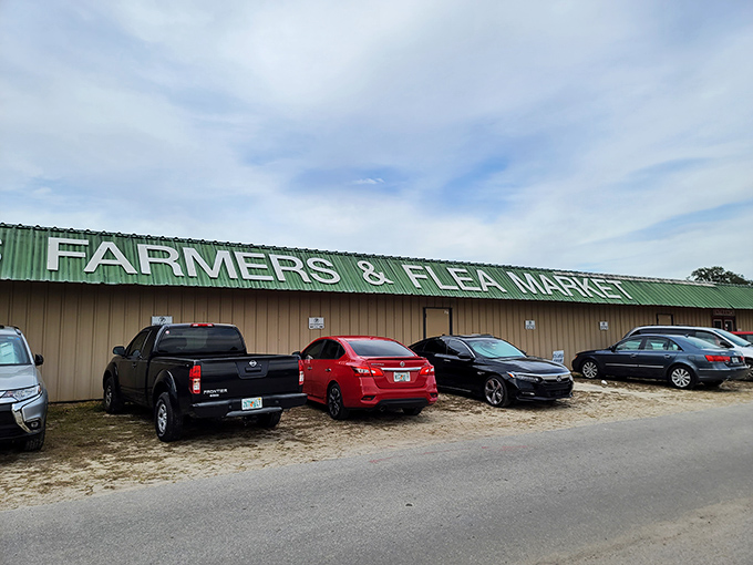 The iconic green sign welcomes bargain hunters to Renninger's, where Florida's treasure-seeking adventures begin every weekend.