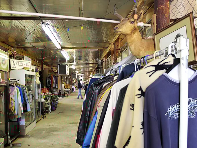 Where taxidermy meets fashion sense! The indoor corridors of Greenwood Flea Market offer everything from vintage clothing to wall-mounted wildlife watching your shopping decisions.