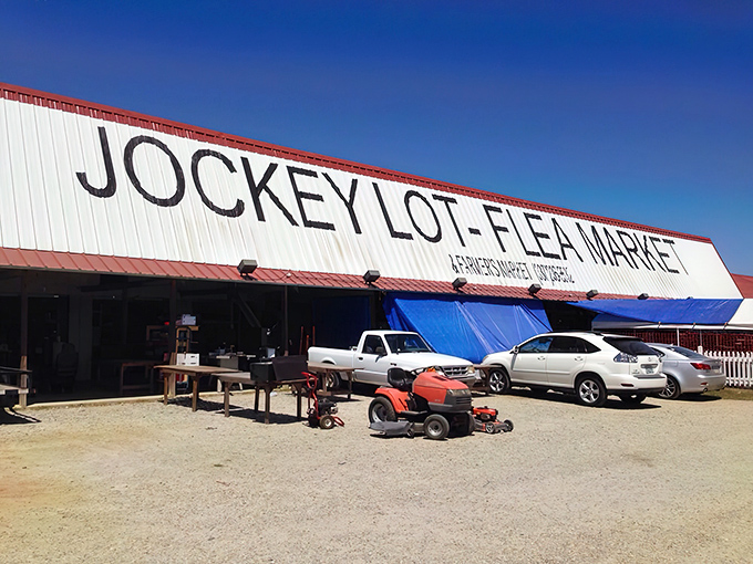 The unassuming exterior of Lafayette Jockey Lot belies the treasure trove within&mdash;like finding a five-star meal at a gas station, the best surprises come in humble packages.