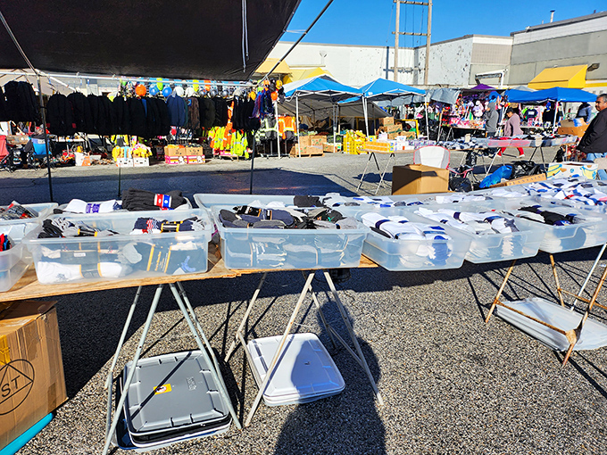 The outdoor section beckons with plastic bins of potential treasures. One person's random stuff is another's must-have collectible!