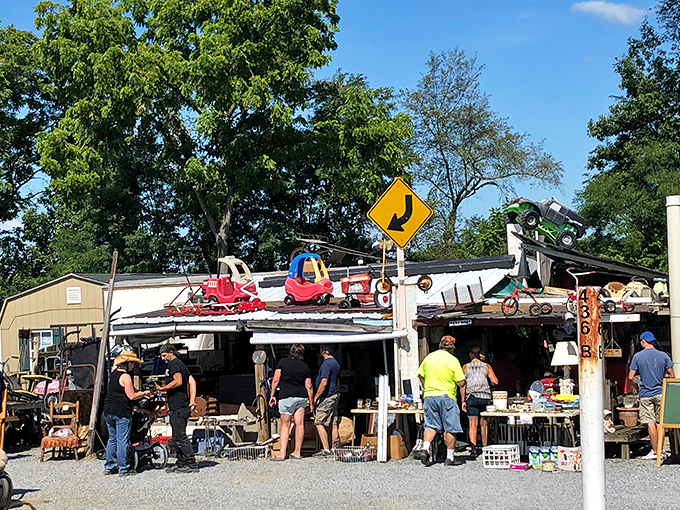 Sunset magic at Williams Grove, where vintage tractors and eager treasure hunters converge in a scene straight out of a Norman Rockwell painting come to life.