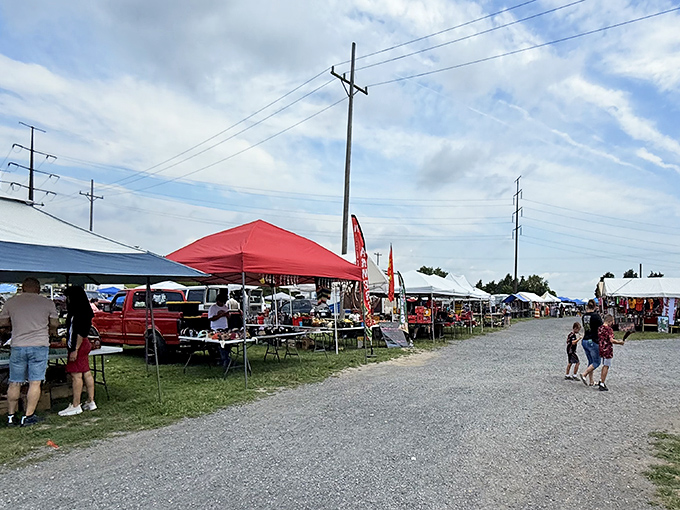 Weekend treasure hunters navigate the gravel paths between colorful tents, where one person's castoffs become another's prized discoveries. The thrill of the hunt is palpable.