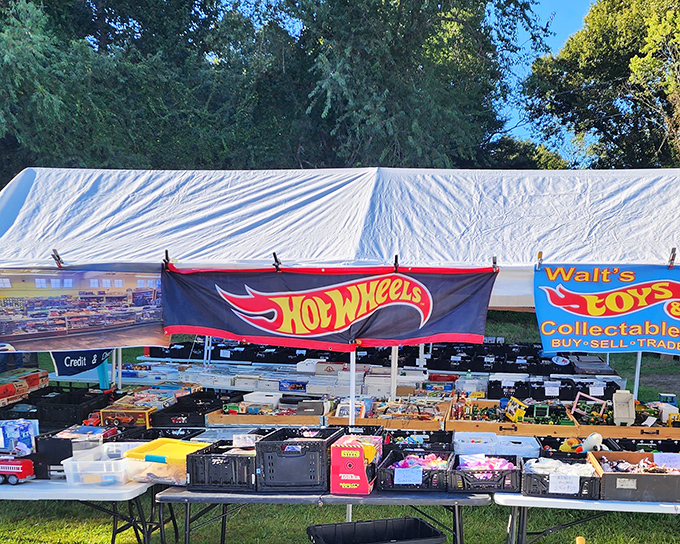 Hot Wheels heaven! Where childhood dreams and adult collections merge under a canopy of nostalgia and the thrill of the hunt.