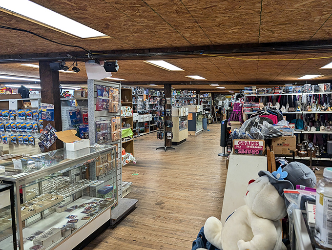 Treasure hunting begins the moment you step inside, with wooden floors that creak with stories and glass cases brimming with possibilities.