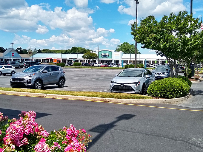 The shopping mecca awaits, where parking spots are plentiful and your credit card starts sweating nervously.