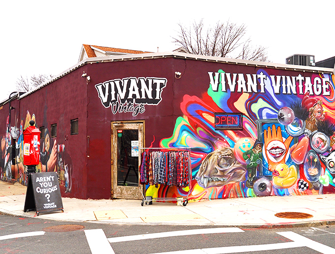 Like a fever dream designed by color-loving time travelers, Vivant Vintage's fa&ccedil;ade stands out in Allston like a peacock at a business meeting.