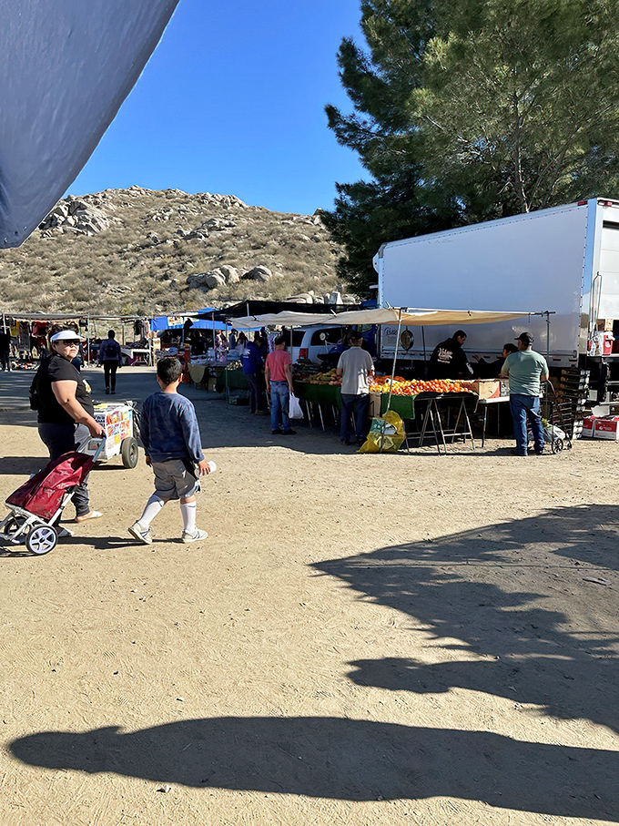 The desert hills create a dramatic backdrop for this treasure hunter's paradise, where families search for bargains under the brilliant California sky.