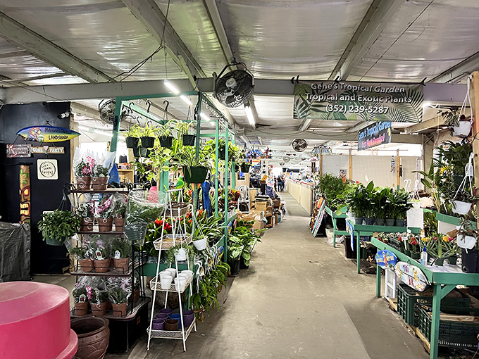 The plant section at Market of Marion feels like stepping into a botanical wonderland where your wallet stays happy and your green thumb gets inspired.