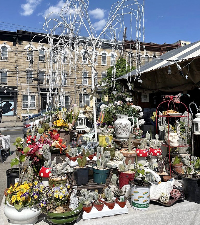 A botanical treasure trove where whimsical mushroom planters and carefully potted cacti create an urban jungle amid Brooklyn's concrete landscape.