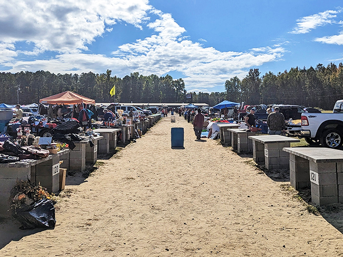 The sandy pathways of Florence Flea Market stretch toward possibility, where numbered concrete stalls create a treasure hunter's yellow brick road.