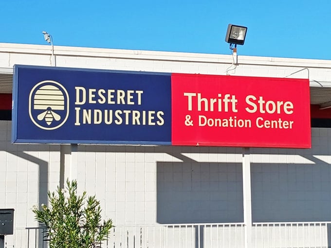 The iconic blue and red signage beckons bargain hunters like a retail lighthouse in Mesa's sea of conventional shopping options.