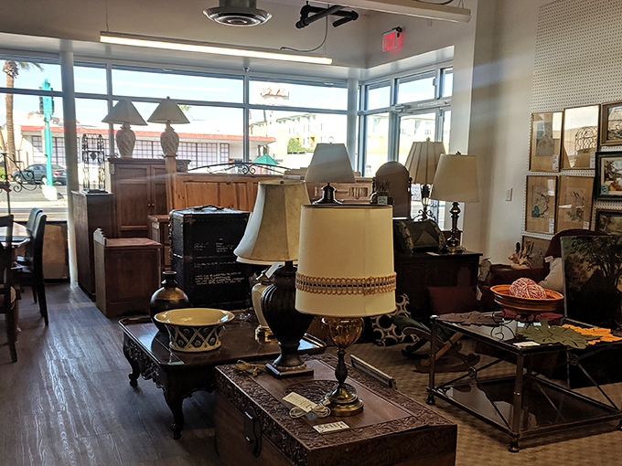 The White Dove's unassuming exterior houses a universe of possibilities. Like finding a five-star restaurant in a strip mall, appearances can be deliciously deceiving.