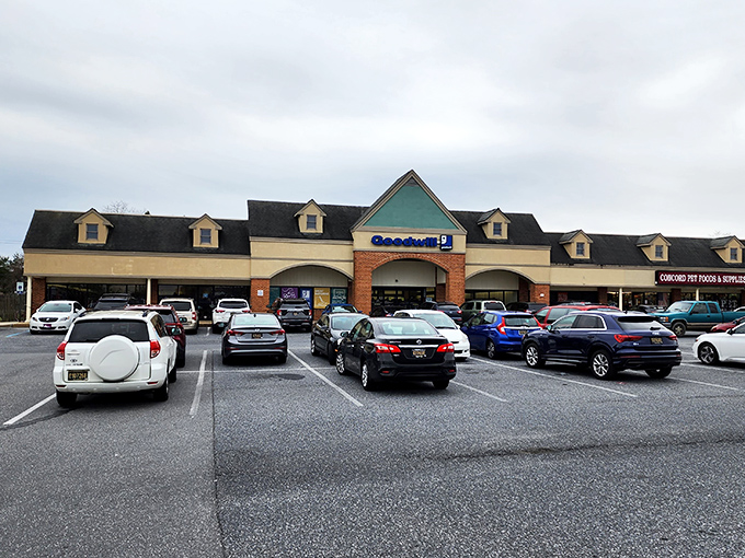 Welcome to thrift store Valhalla, where your shopping cart becomes a treasure chest on wheels.