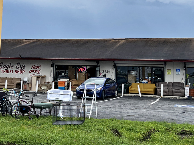 The unassuming storefront of Eagle Eye Thrift Shop beckons with treasures spilling into the parking lot&mdash;Florida's version of Ali Baba's cave.