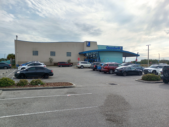 The sleek blue awning of Suncoast Goodwill beckons like a retail oasis in Trinity, promising air-conditioned treasure hunting away from Florida's relentless sun.