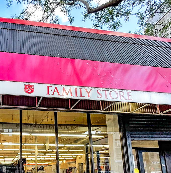Winter branches frame the distinctive pink band of the Family Store. In New York's retail jungle, this no-frills exterior promises honest treasures within.
