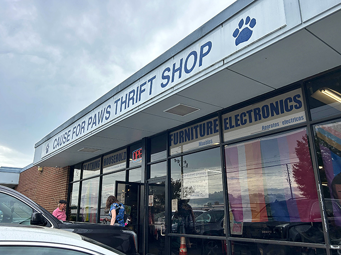 The unassuming storefront of Cause for Paws Thrift Shop, where bargain hunters discover treasures that won't make their credit cards cry for mercy.