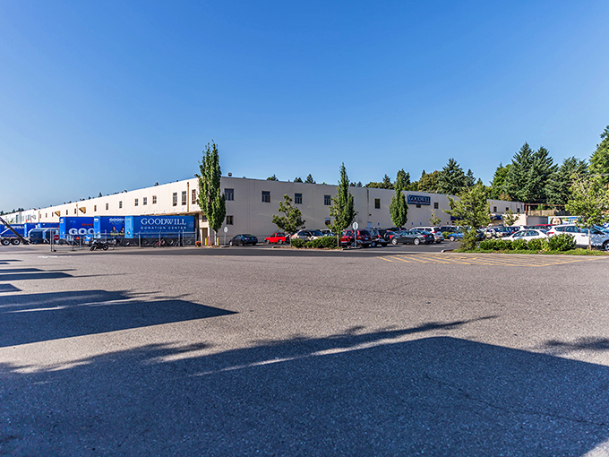 Welcome to treasure hunter paradise! The vast expanse of Goodwill's Milwaukie outlet store stretches before you like an urban archeological dig waiting to be explored. 