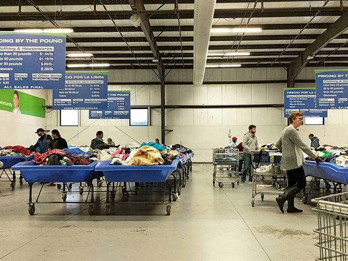 The organized chaos of bargain hunting in action. Shoppers navigate the blue bin landscape with the focus of archaeologists on a career-defining dig.