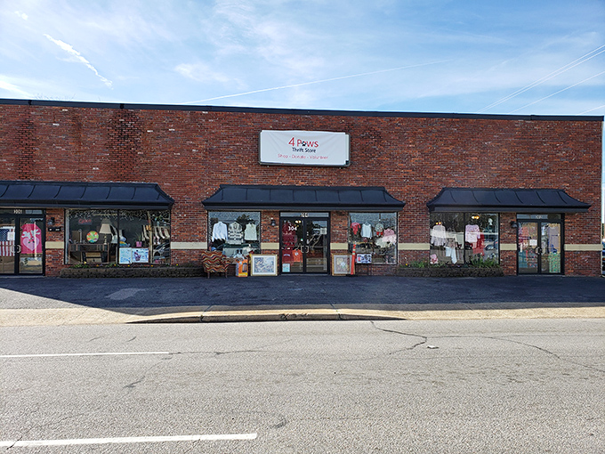The unassuming brick exterior of 4 Paws Thrift Store &ndash; where treasures hide behind a modest fa&ccedil;ade, like finding a gourmet meal at a gas station diner.