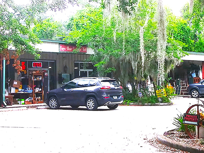 Spanish moss drapes over Sugar Bear Antiques like nature's welcome sign, hinting at the treasures waiting inside this Jacksonville gem.