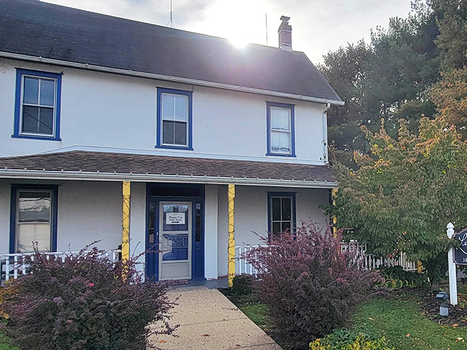 Autumn's golden light bathes this converted home-turned-restaurant, promising the kind of meal that makes you want to call your mother and apologize for ever complaining about her cooking.