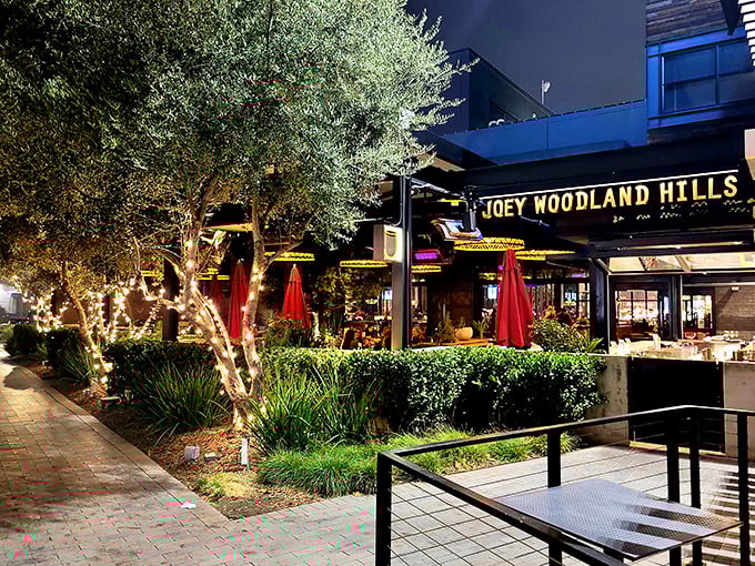 JOEY Woodland Hills welcomes you with twinkling lights and olive trees, creating that magical California evening vibe that makes you want to linger.