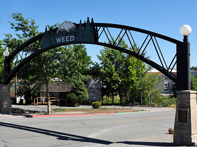 The iconic Weed arch welcomes visitors with a wink and a nod. Mount Shasta's silhouette creates the perfect backdrop for your obligatory "I visited Weed" photo.