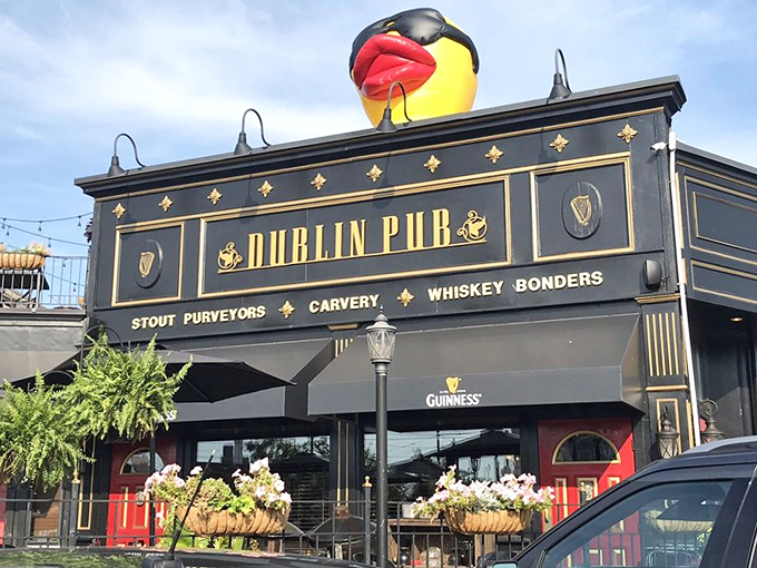 The Dublin Pub's striking black and gold façade stands as a beacon of Irish hospitality in Dayton's Oregon District, promising authentic flavors and good times within.