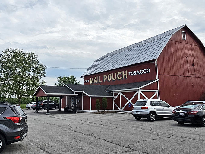 The iconic red barn exterior of The Steer Barn, complete with vintage Mail Pouch Tobacco signage, welcomes hungry steak lovers to Upper Sandusky.