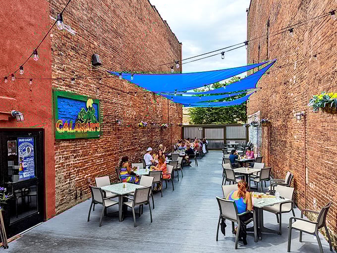 Between two brick walls, a hidden oasis emerges. Blue sail shades and string lights transform this patio into Erie's most coveted summer dining spot.