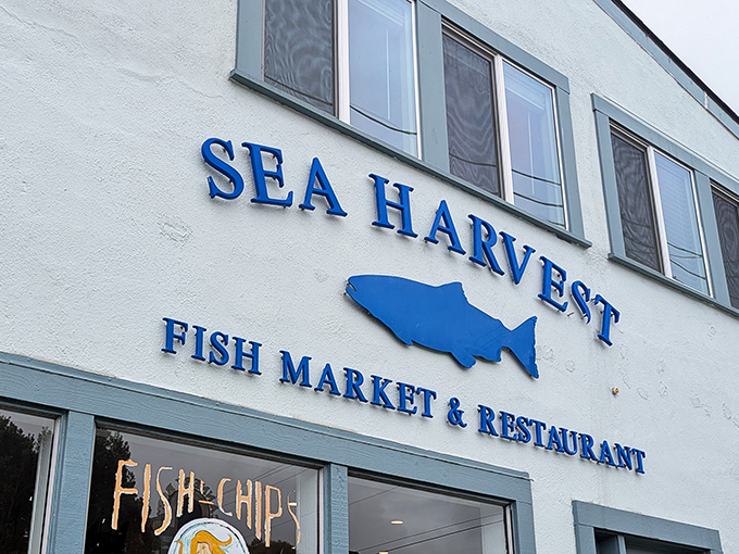 Sea Harvest's blue signage stands out like a beacon for seafood lovers. The fish silhouette isn't false advertising&mdash;it's a promise of what awaits inside.
