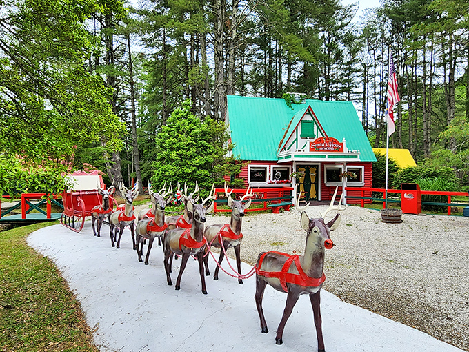 Life-size reindeer statues lead you to Santa's workshop like the world's most festive parade route.